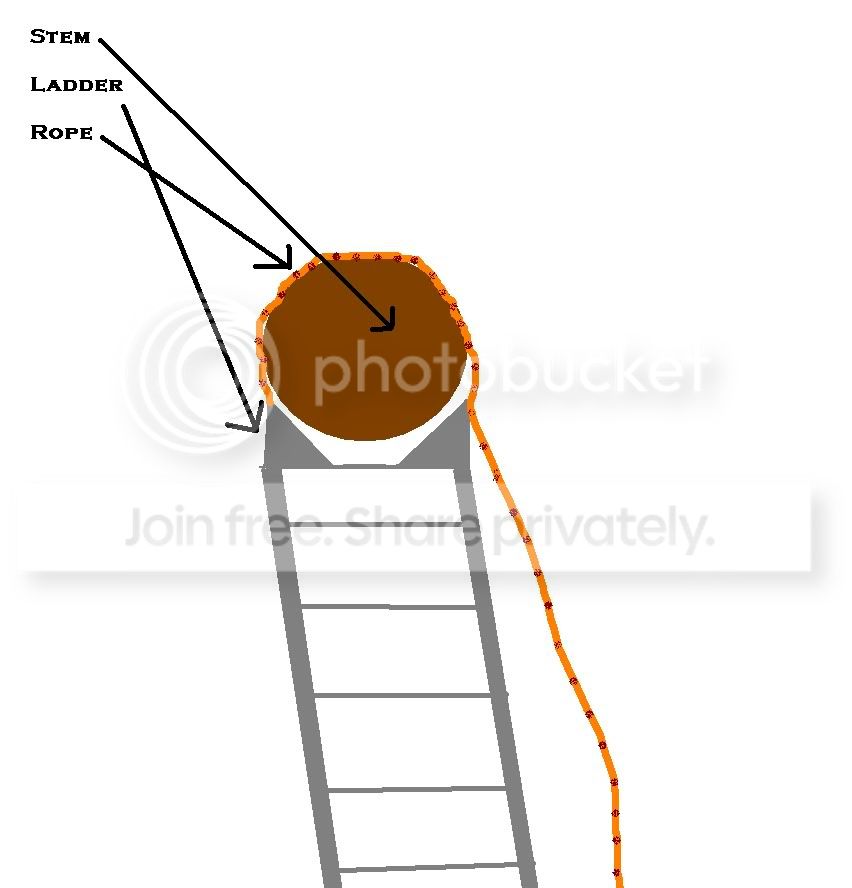 Ladder locking device for a stem? | The BuzzBoard